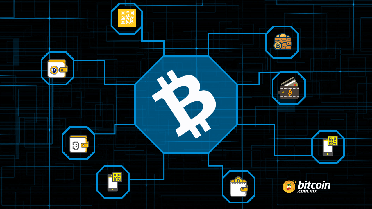 Las 9 mejores billeteras para almacenar tus Bitcoins