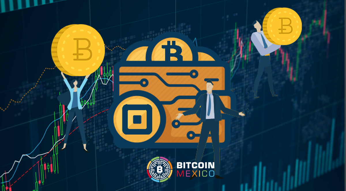 Mayoría de inversores Bitcoin siguen haciendo HODL como estrategia